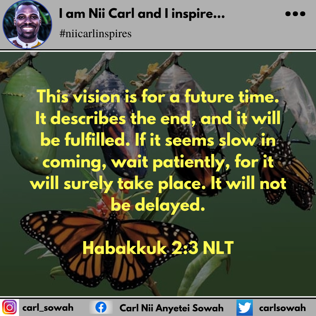 After the cocoon state comes the beauty! – CARL NII ANYETEI SOWAH